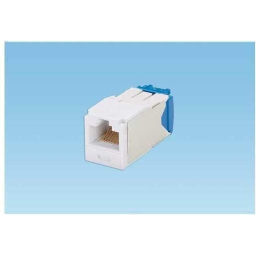 Panduit | Brands | Rexel Australia